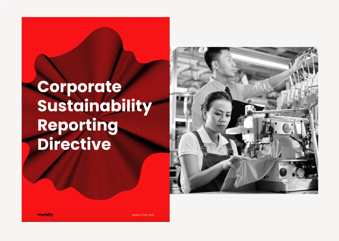 The S in ESG: Understanding the Social requirements under CSRD | Worldly